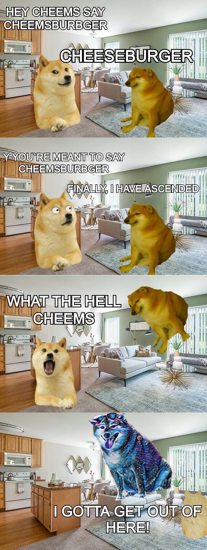 Cheems, The Ultimate Lifeform! Part 1. | Scrolller