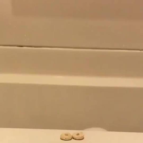 Cheerio! | Scrolller