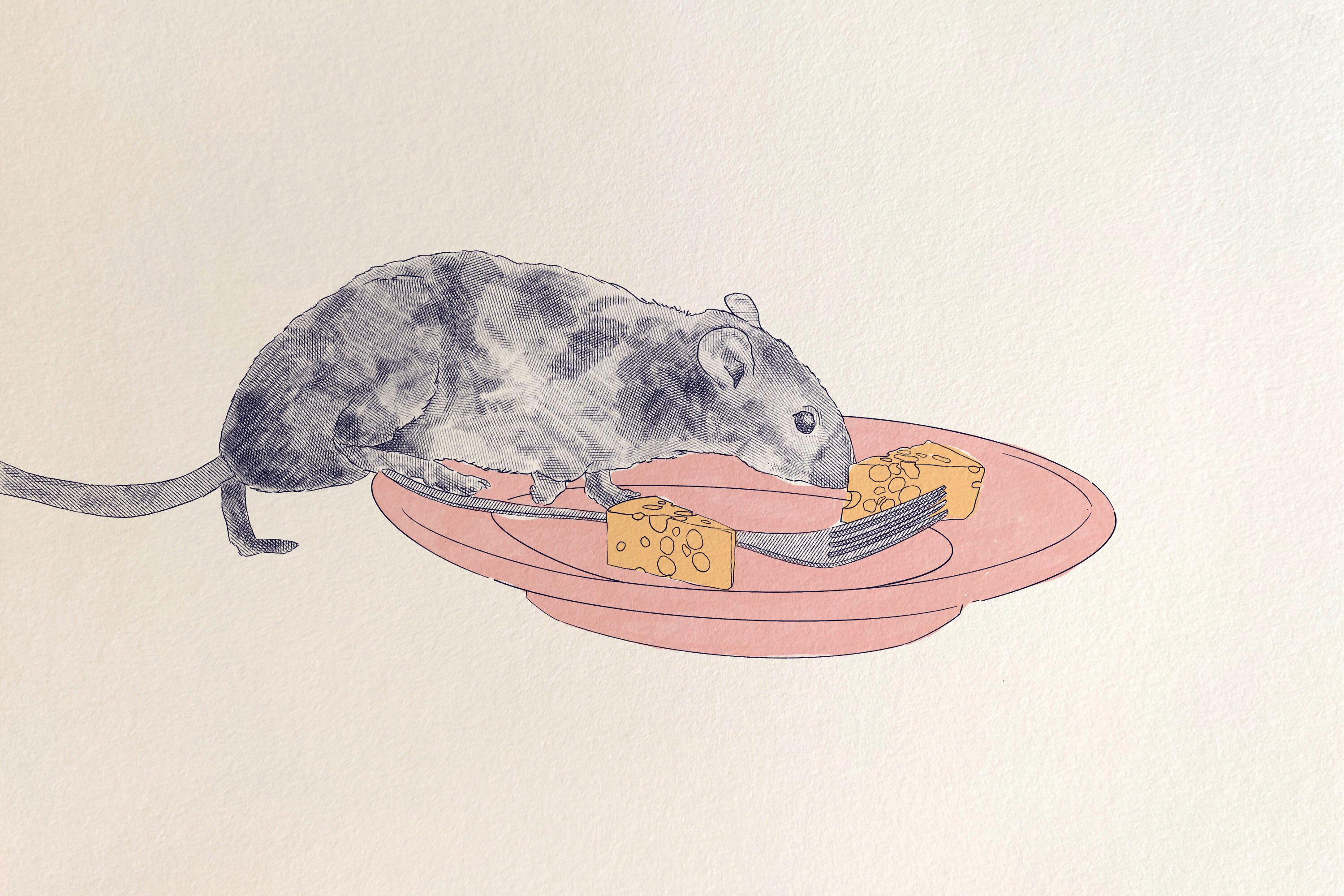 Cheesy, Me, Digital, 2021 | Scrolller