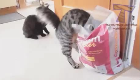 Chelsie Aryn in Once Upon a Time in the West [X-Post from /r/Playboy_Albums] | Scrolller