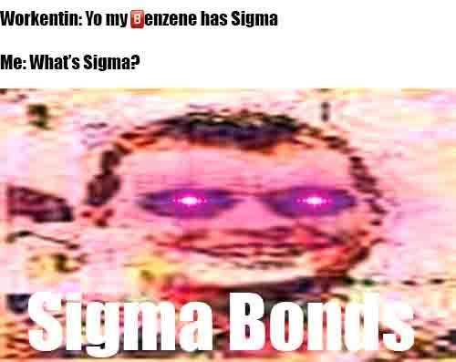 CHem2213_irl | Scrolller