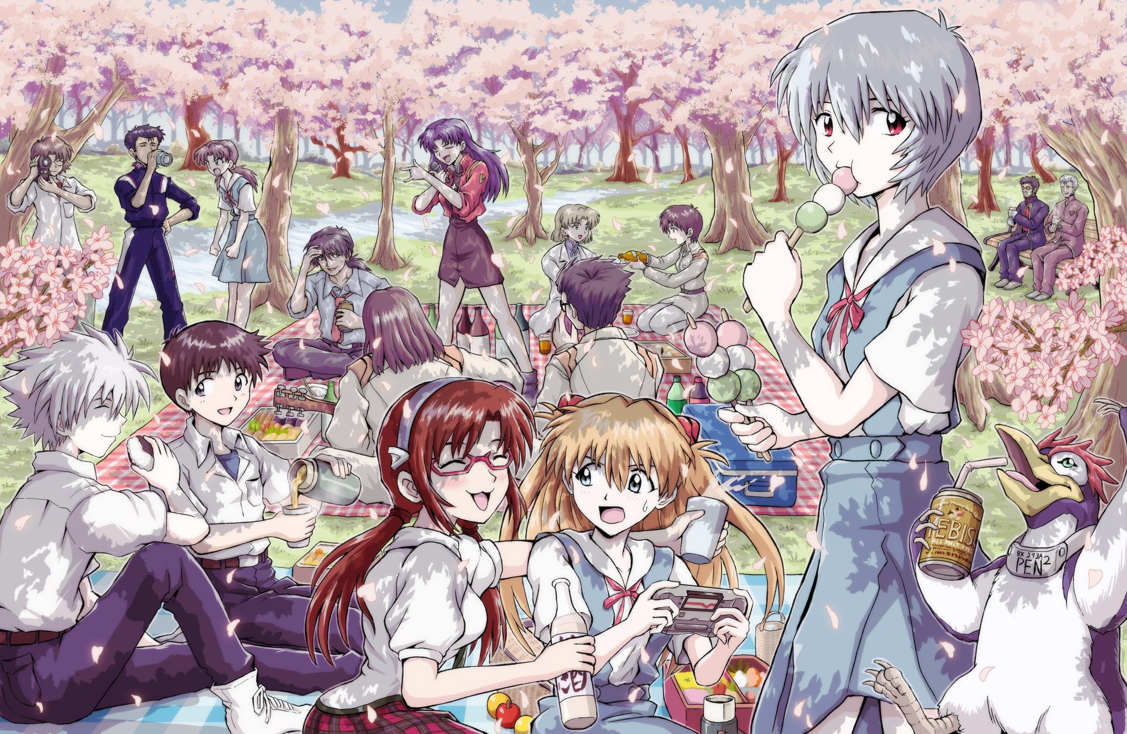 Cherry Blossoms | Scrolller