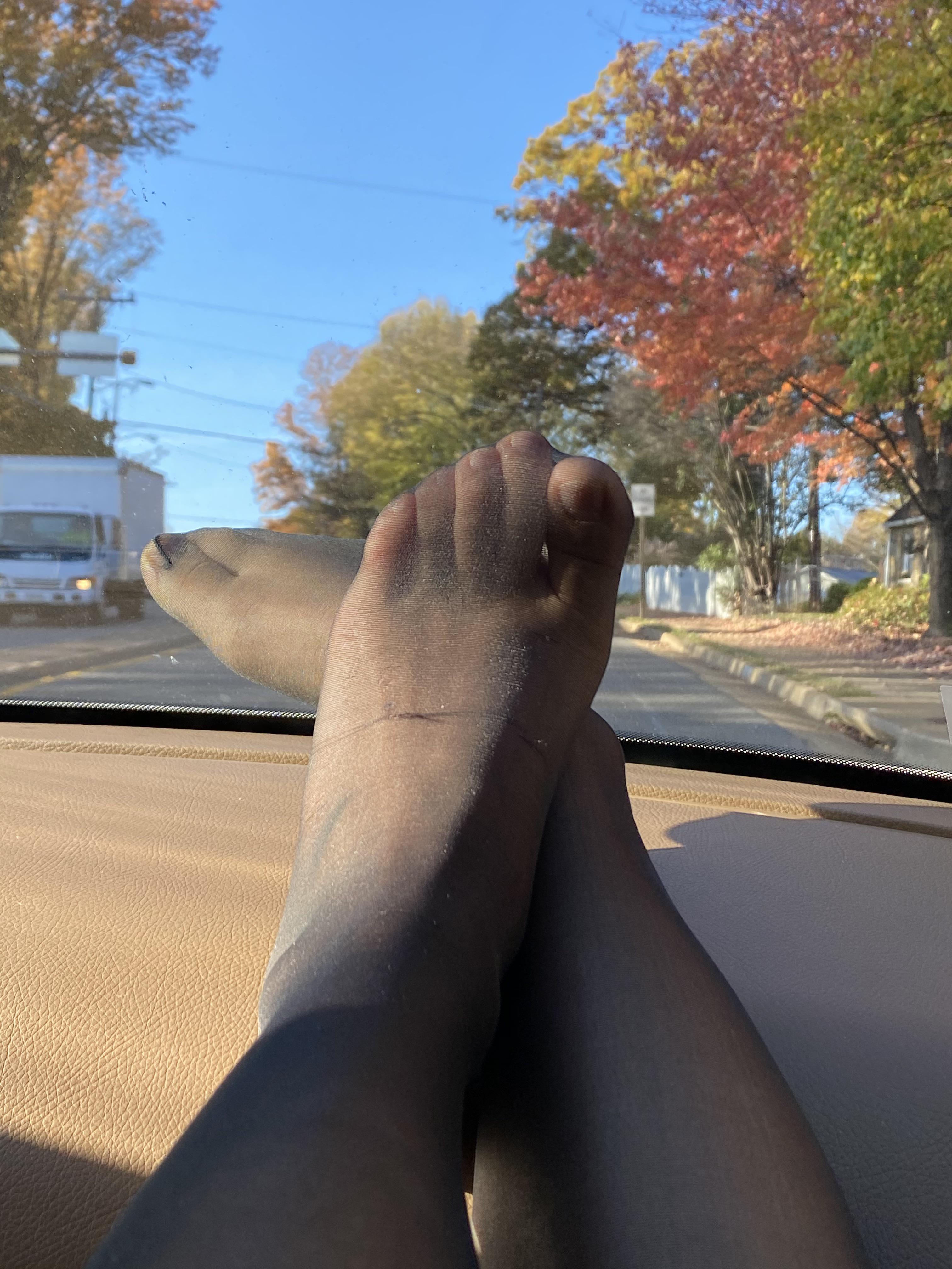 chilling on the dash | Scrolller