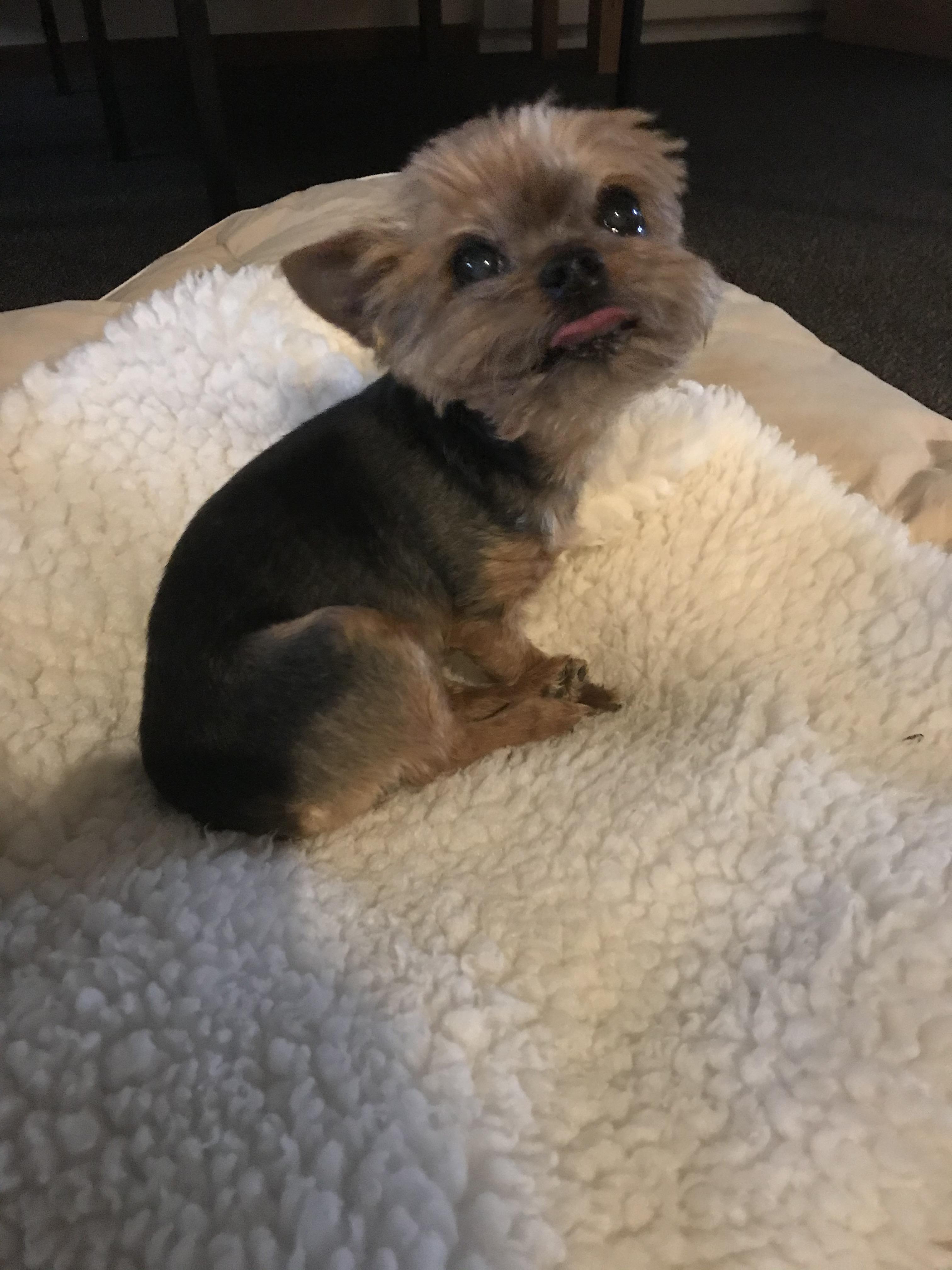 Chloe’s all sass these days | Scrolller