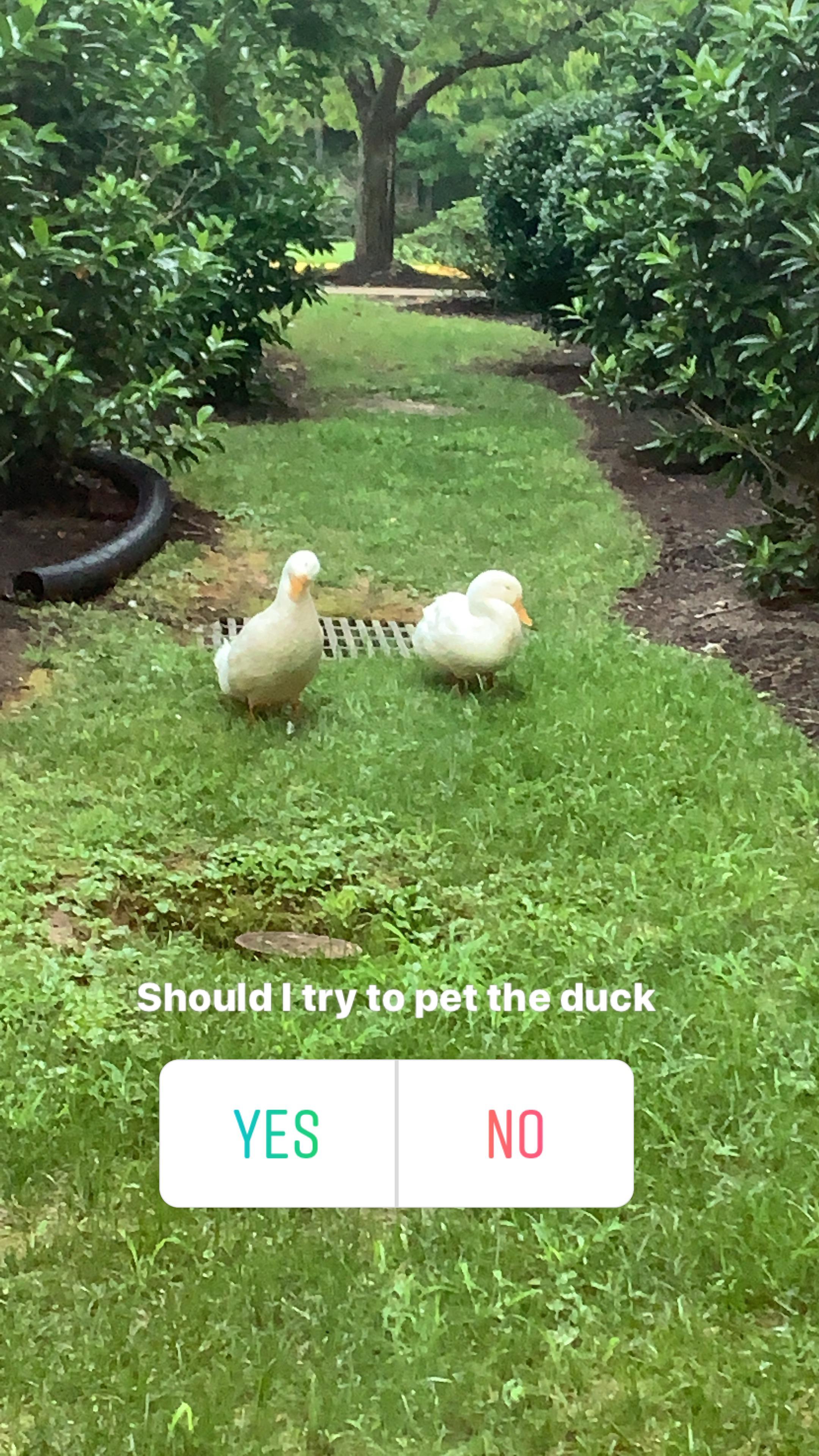 choose wisely | Scrolller