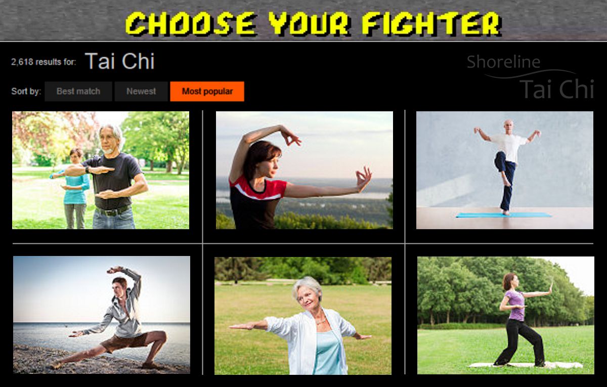 Choose Your Tai Chi Fighter | Scrolller