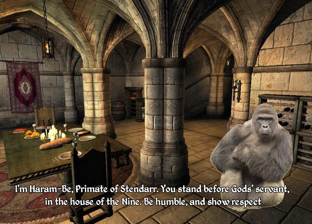 Chorrol has a new PRIMATE OF STENDARR! | Scrolller