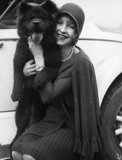 Chow with Flapper | Scrolller