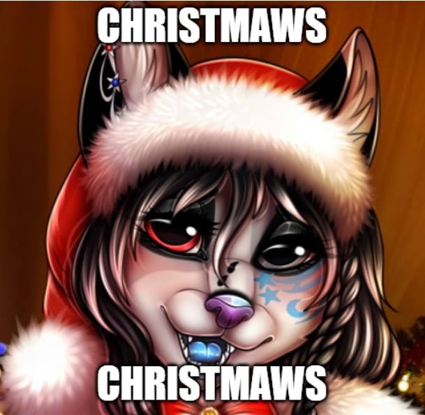 christmas_irl | Scrolller