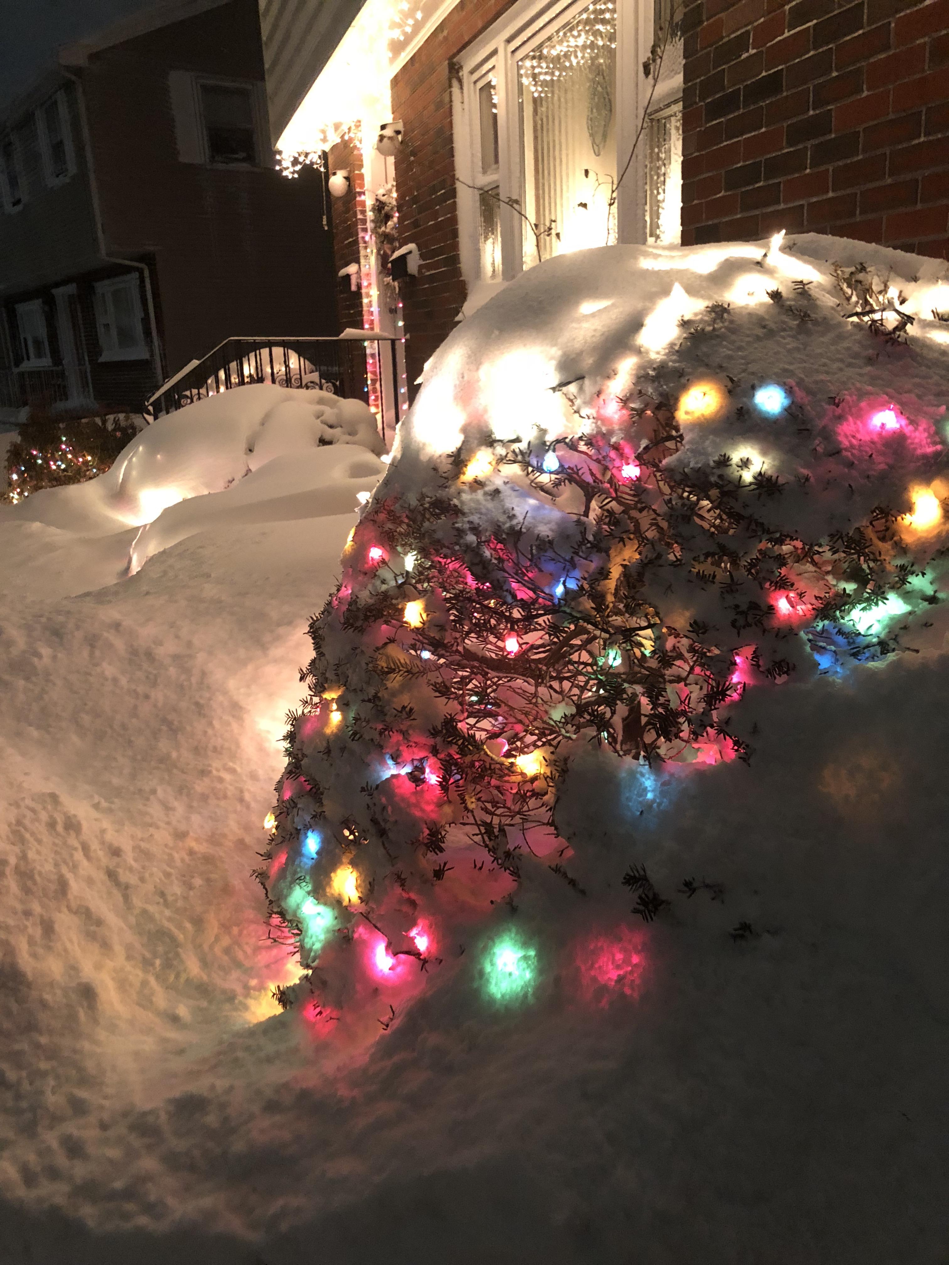 Christmas lights in the snow | Scrolller