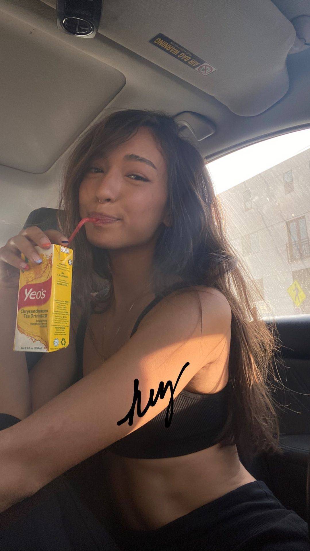 Chrysanthemum Tea | Scrolller