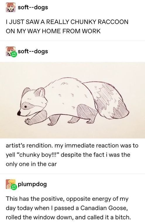 Chunky Boy | Scrolller