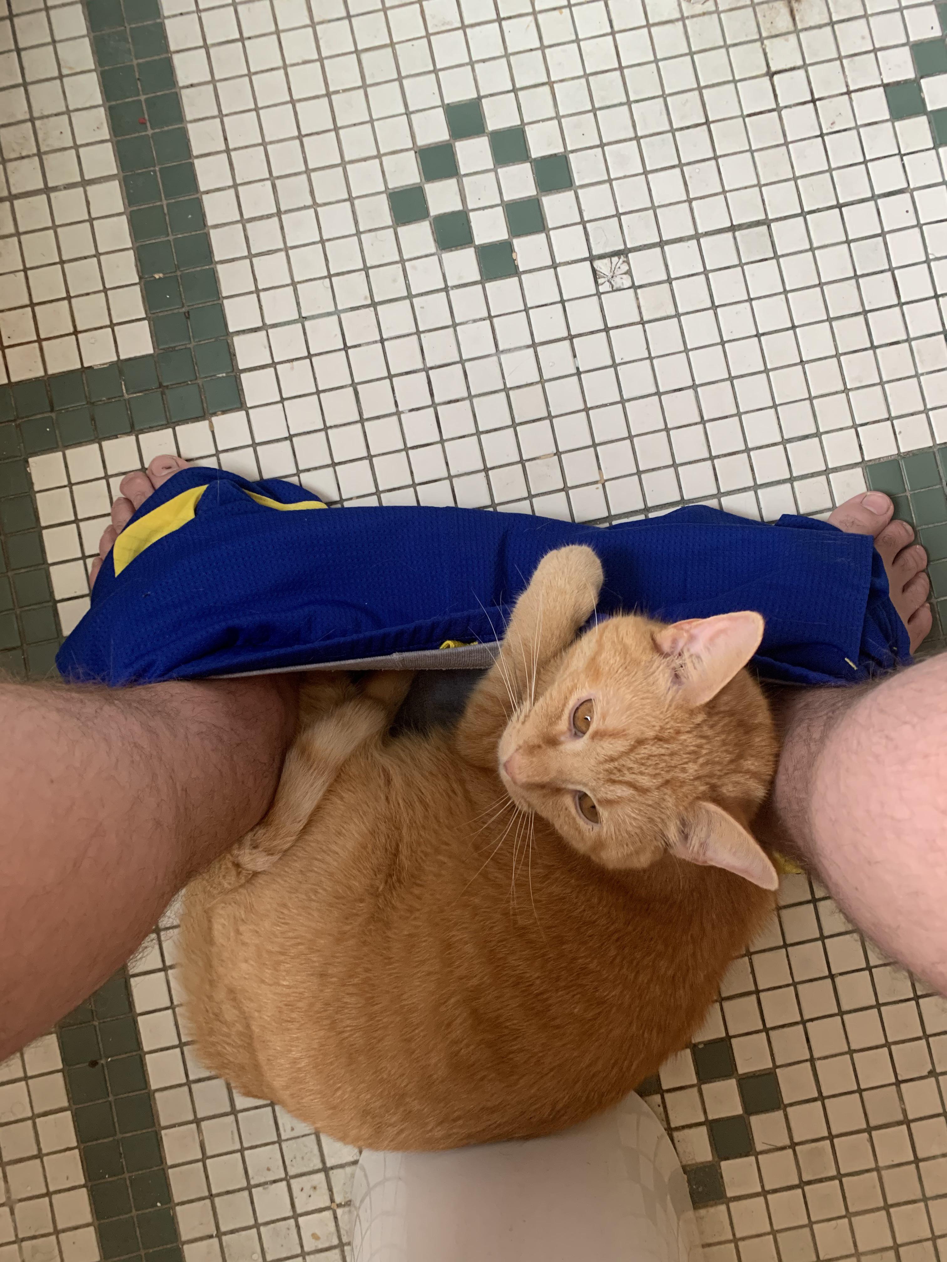 Chunky is a little too big to fit | Scrolller