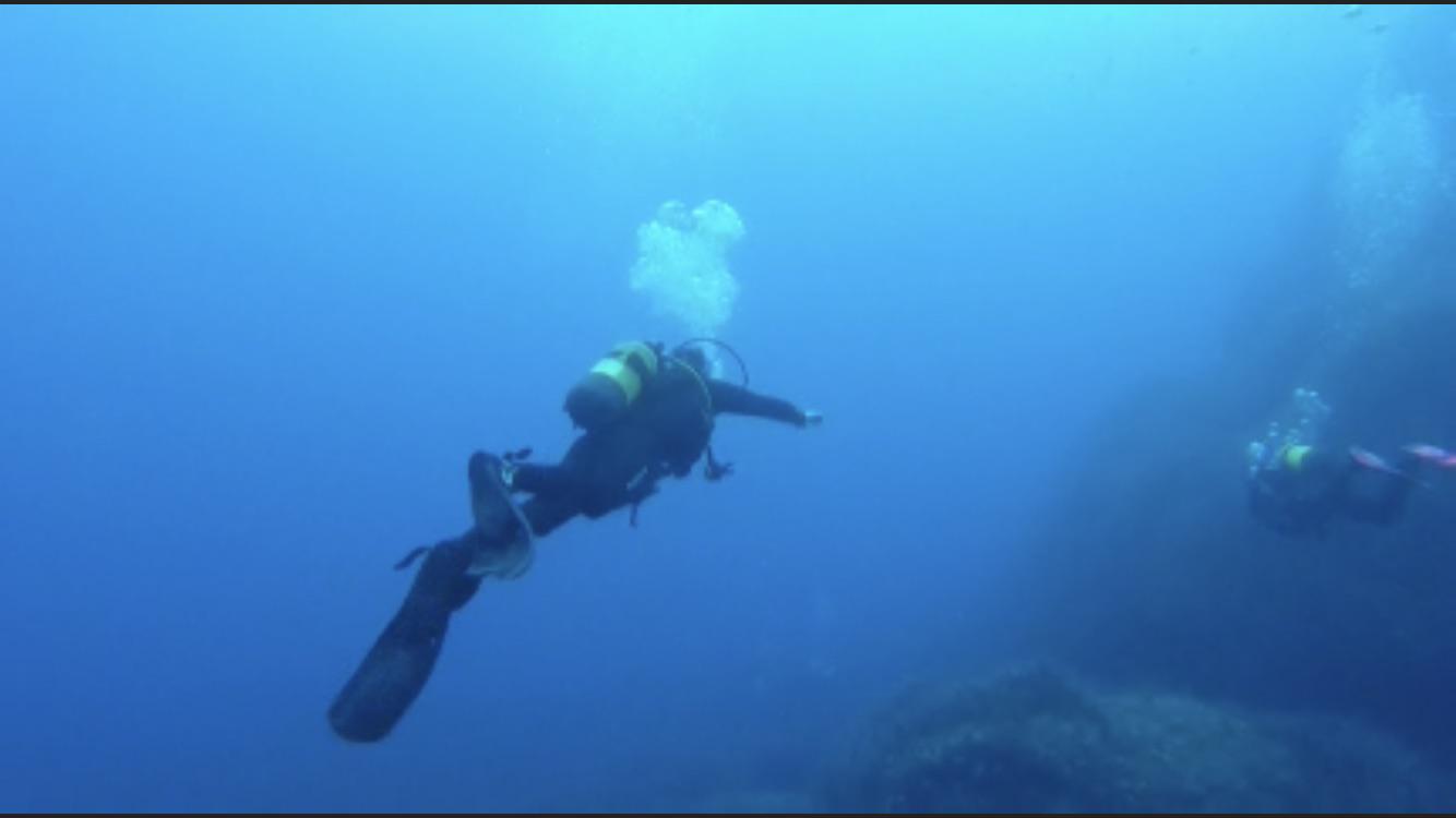 Cirkewwa left reef dive in Malta. | Scrolller