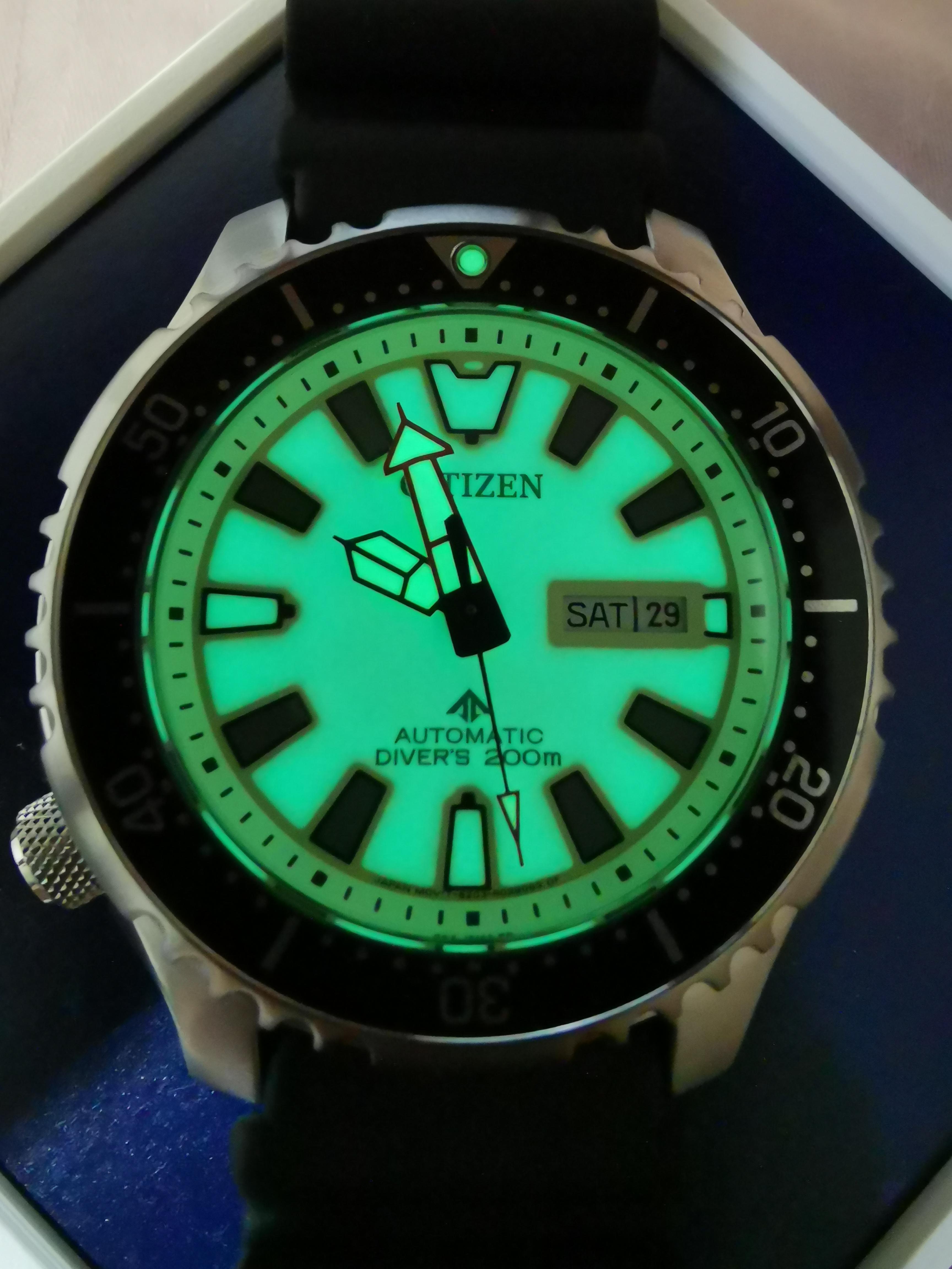 Citizen Fugu Full Lume. | Scrolller