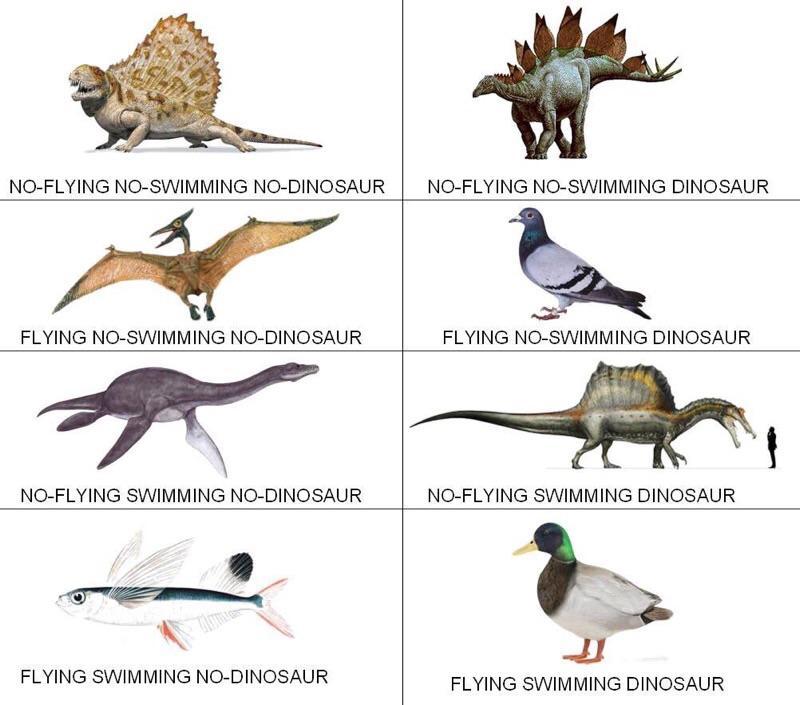 Clarification | Scrolller