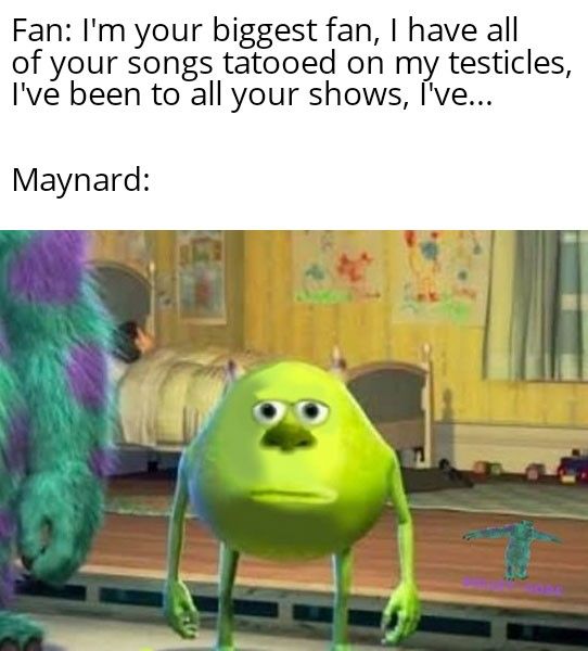 Classic Maynard | Scrolller