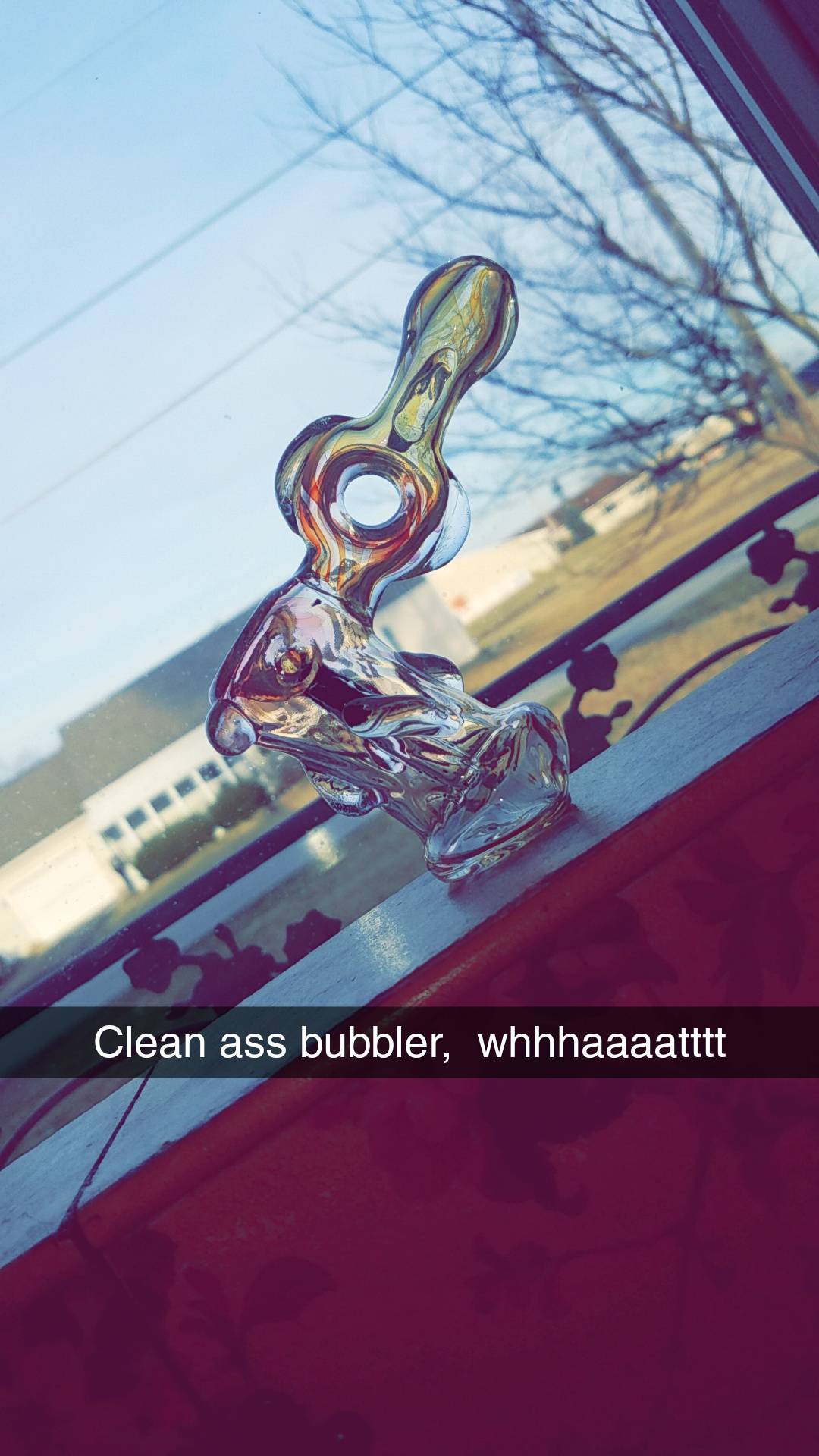 Cleaned my bubbler today got her lookin nice | Scrolller