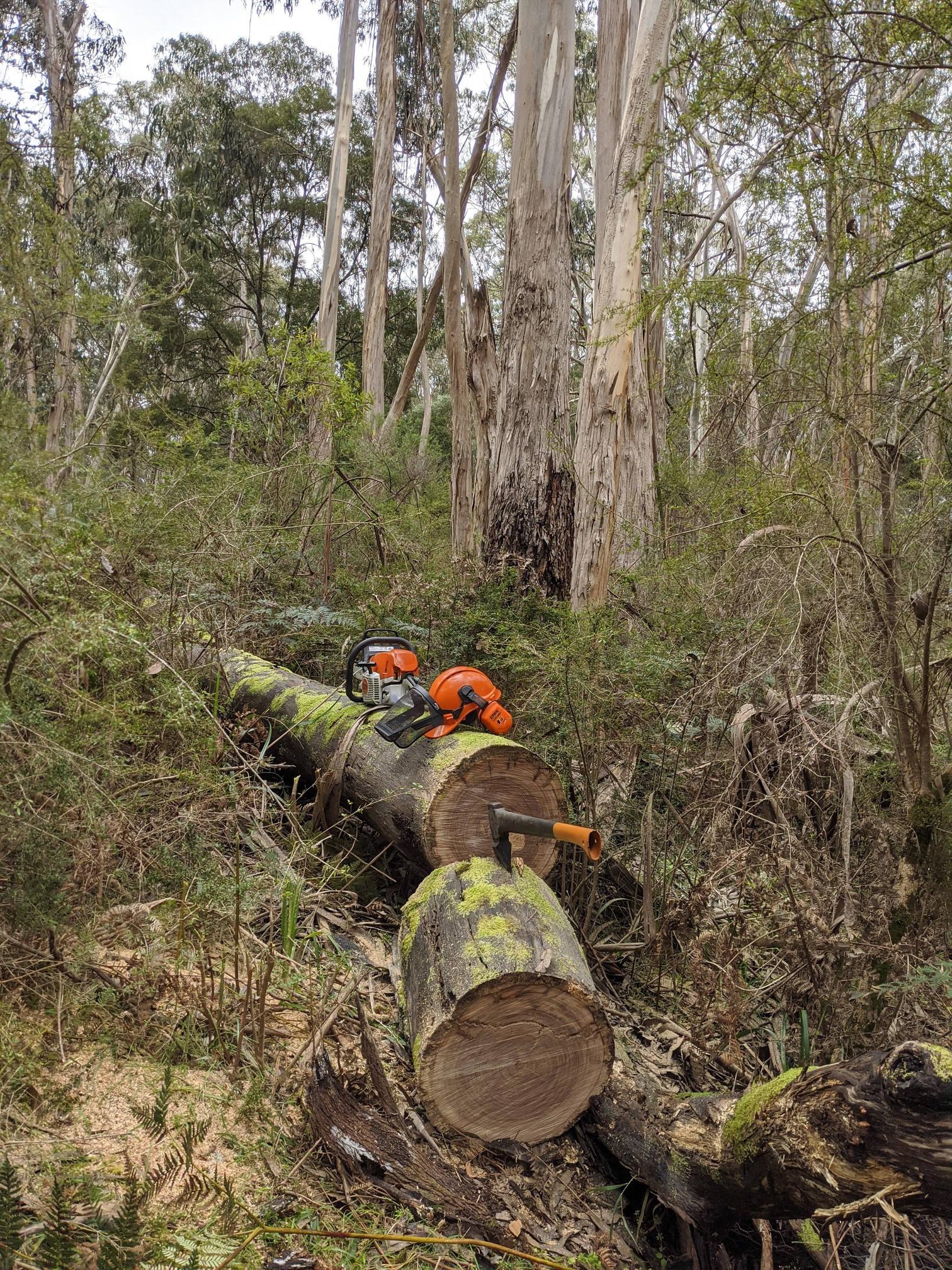 Cleaning up with the ms311 - Australian outback | Scrolller