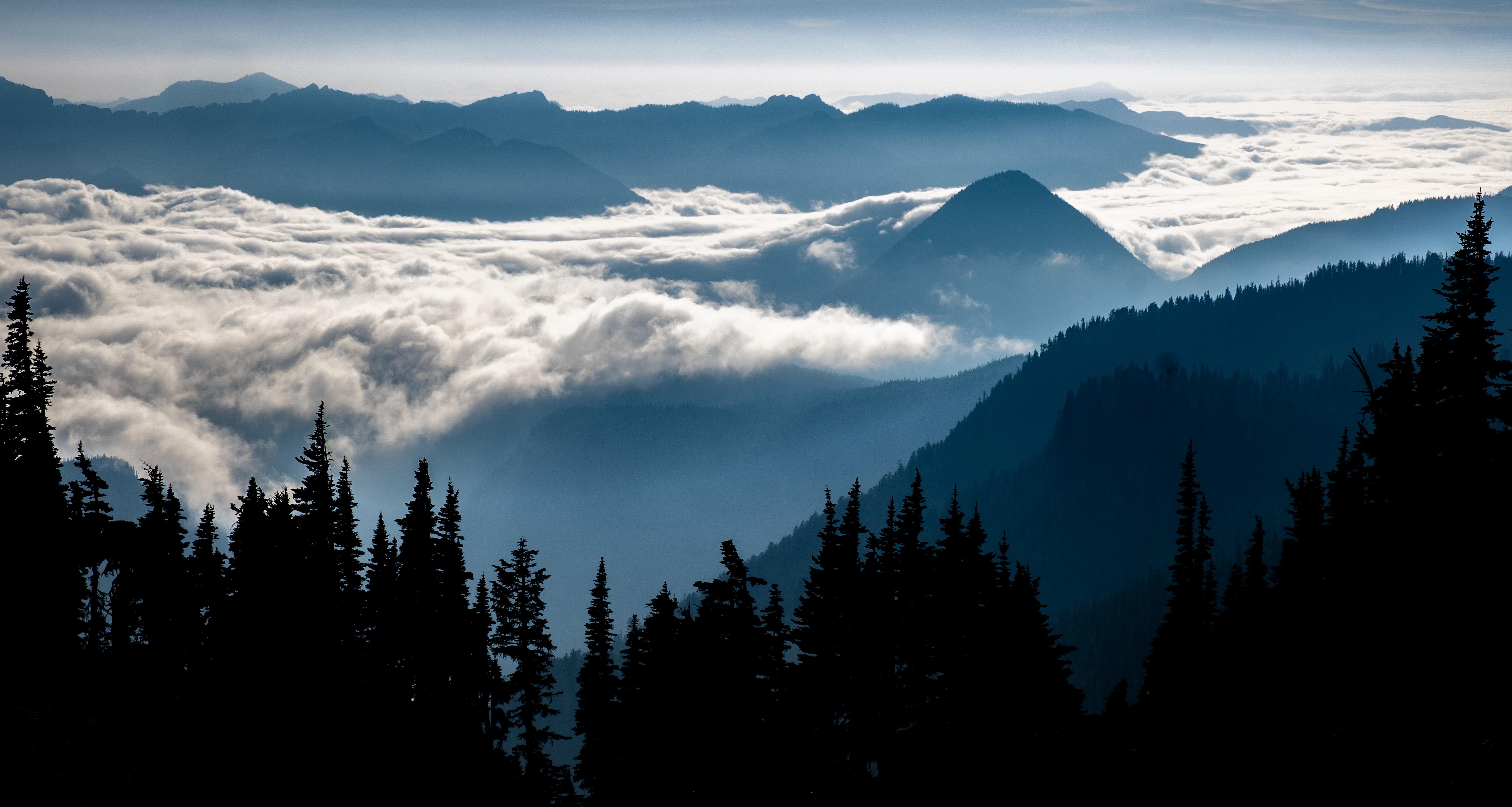 Cloud inversion at Mt Rainier - Skyline Trail to Nisqually Glacier | Scrolller