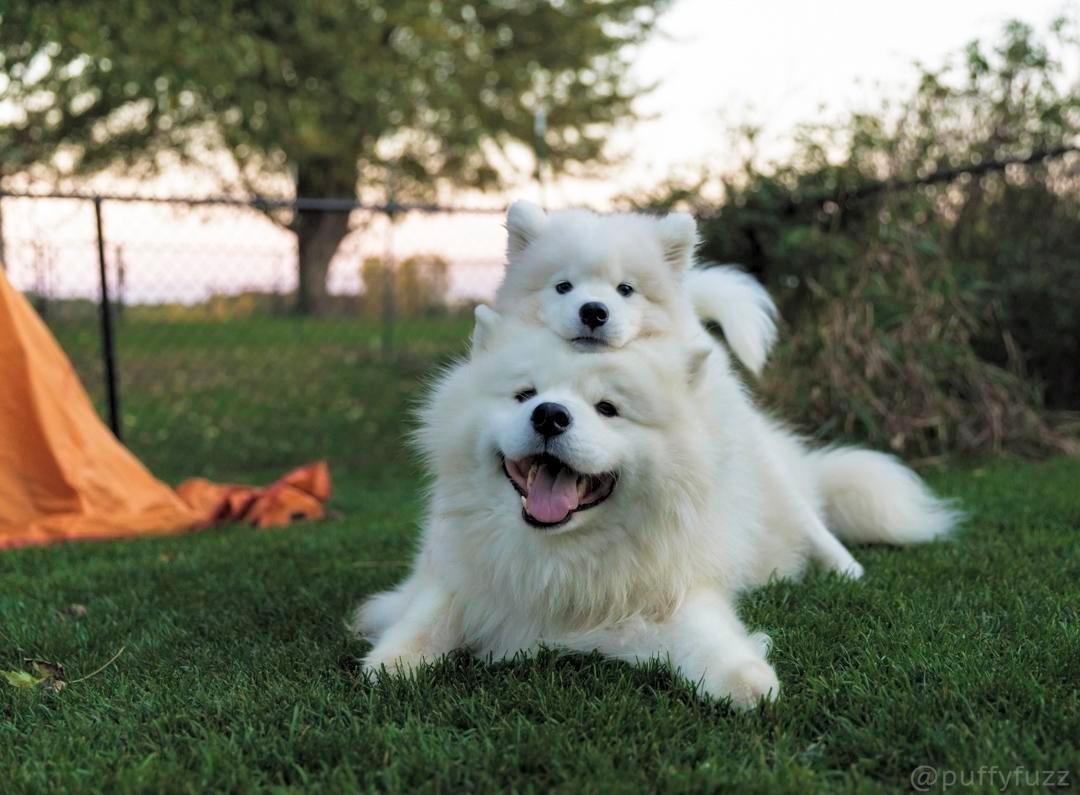 cloud on cloud | Scrolller