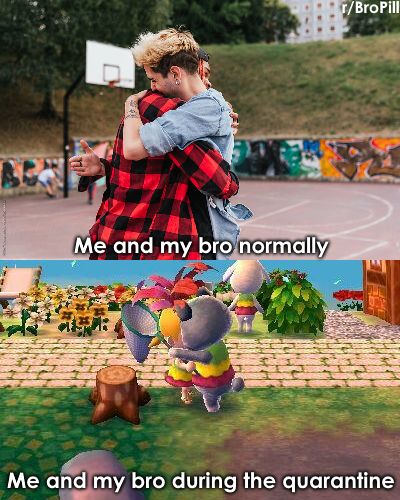 C'mere bro uwu | Scrolller