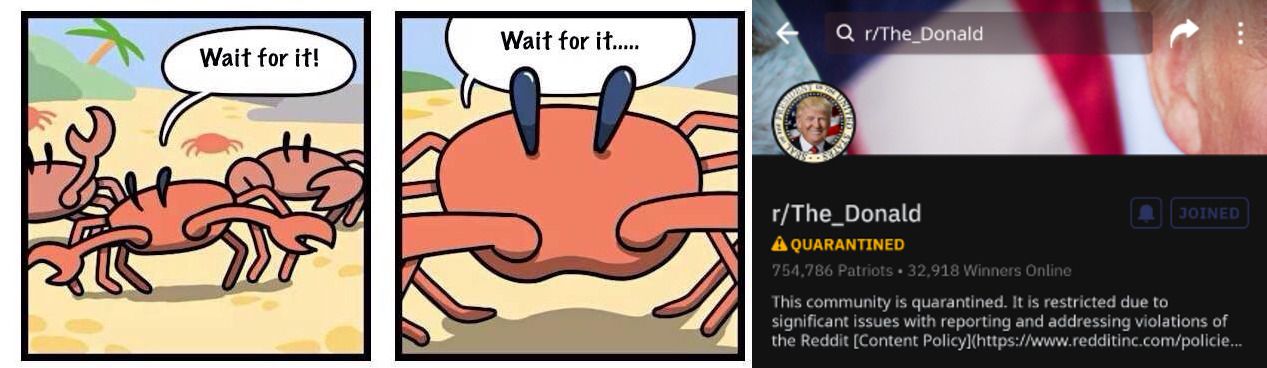 C'MON REDDIT, YOU KNOW THE DRILL! | Scrolller