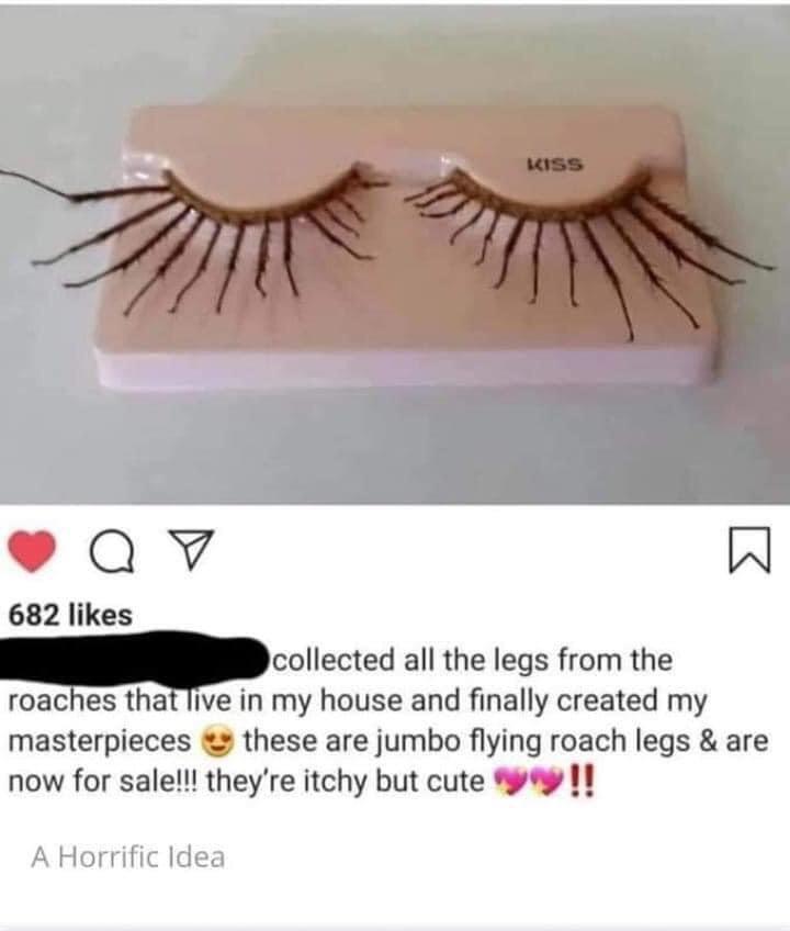 Cockroach lashes 🤢 | Scrolller