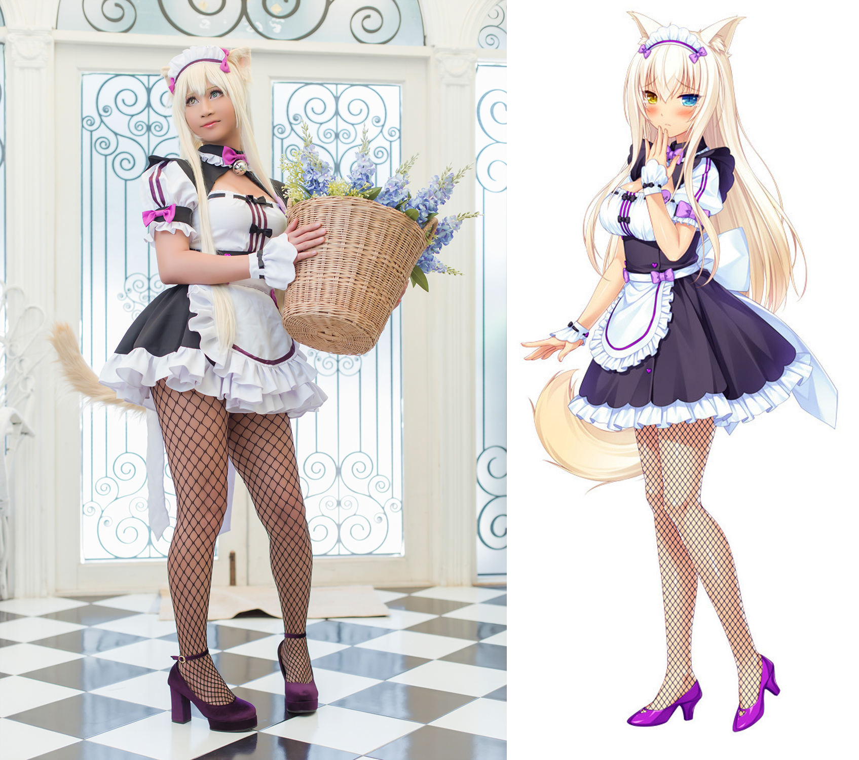Coconut from Nekopara | Scrolller