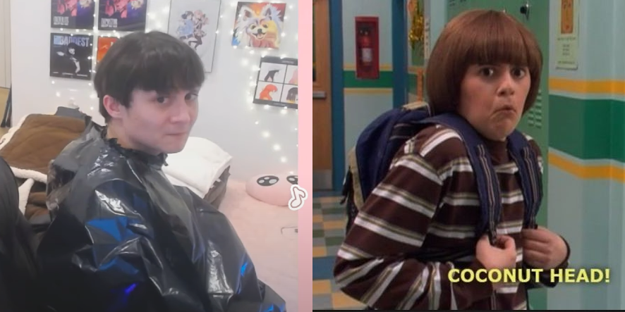 Coconut Head approved | Scrolller