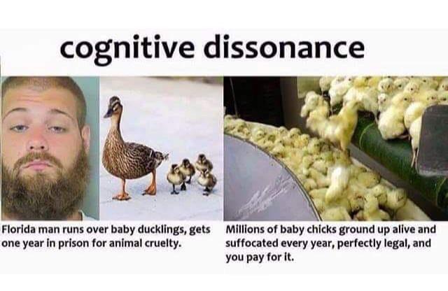 Cognitive dissonance | Scrolller