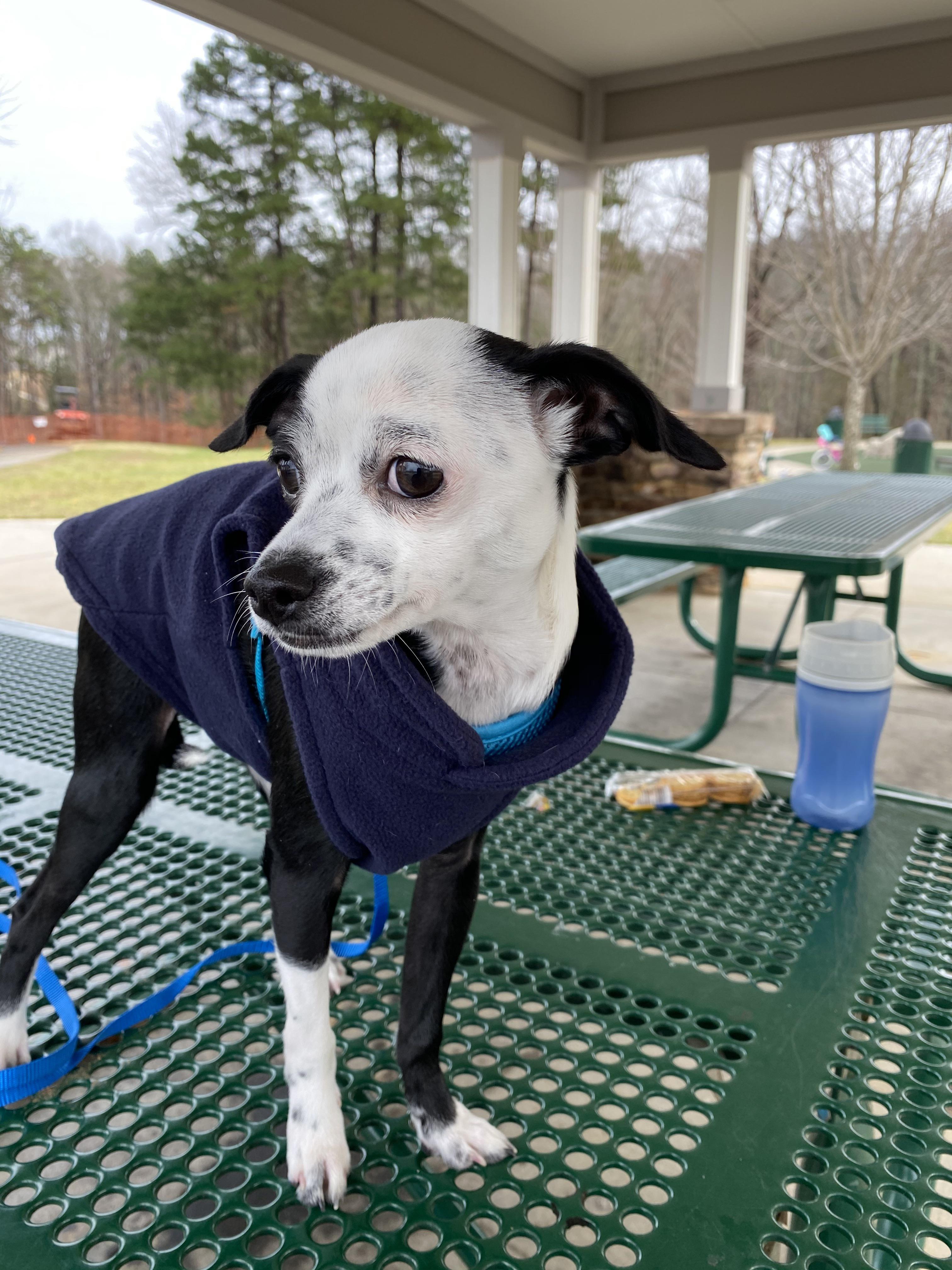 Cold day at the playground | Scrolller