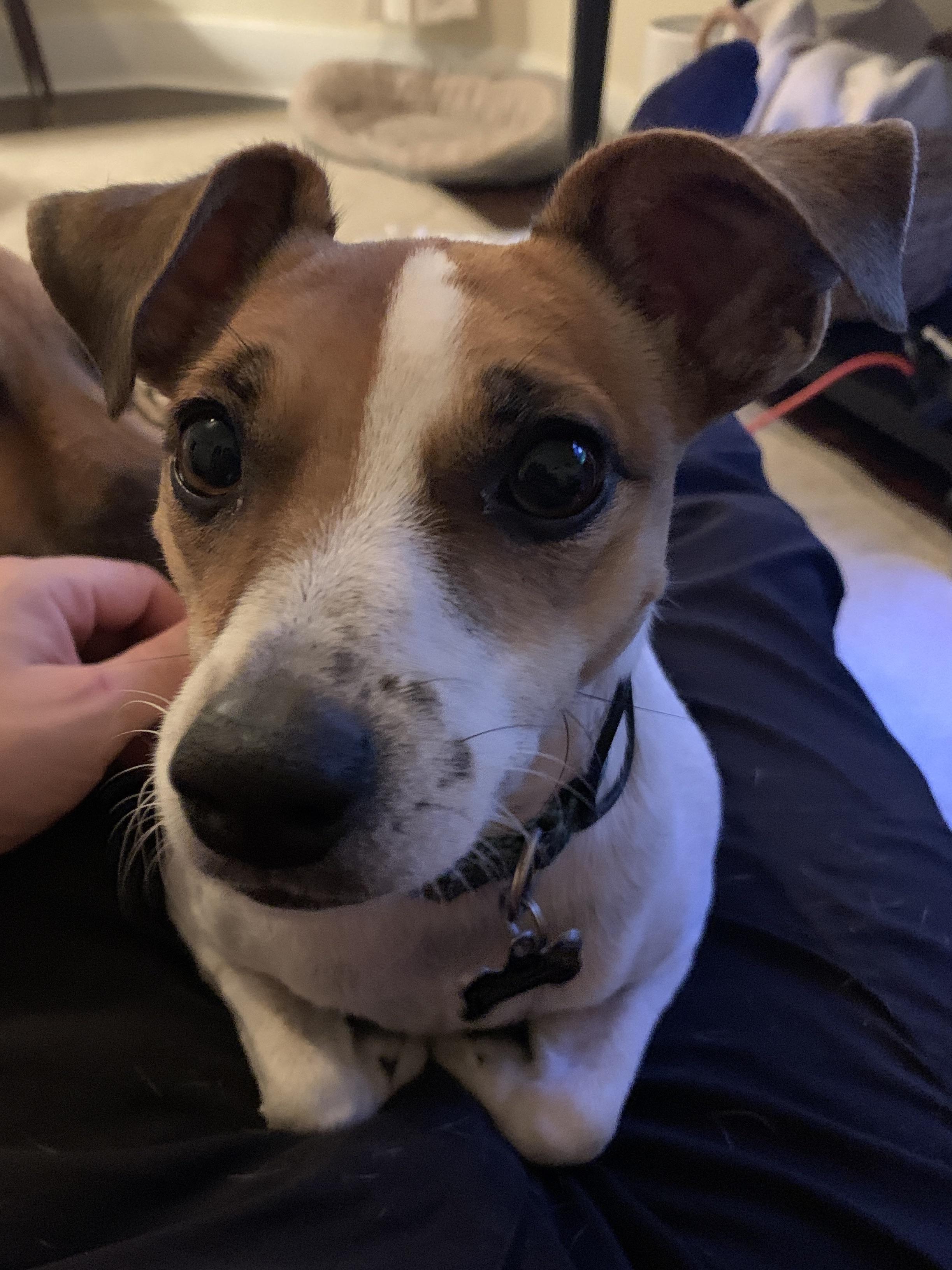 Cold feet, muffin mode activated | Scrolller