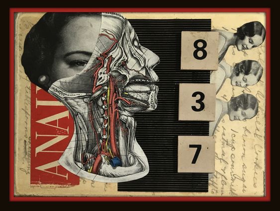 Collage [analog] | Scrolller