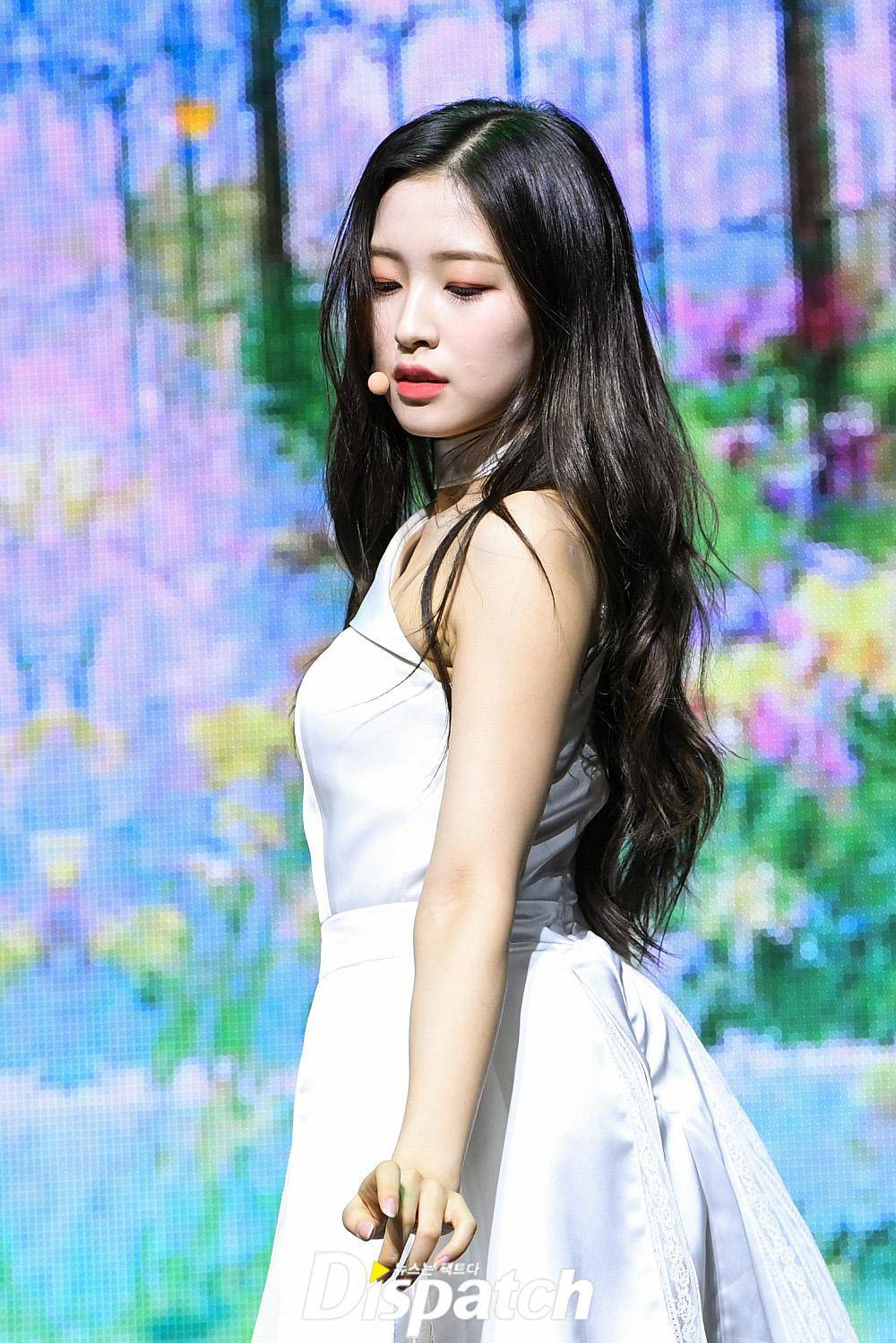 Comeback Arin | Scrolller