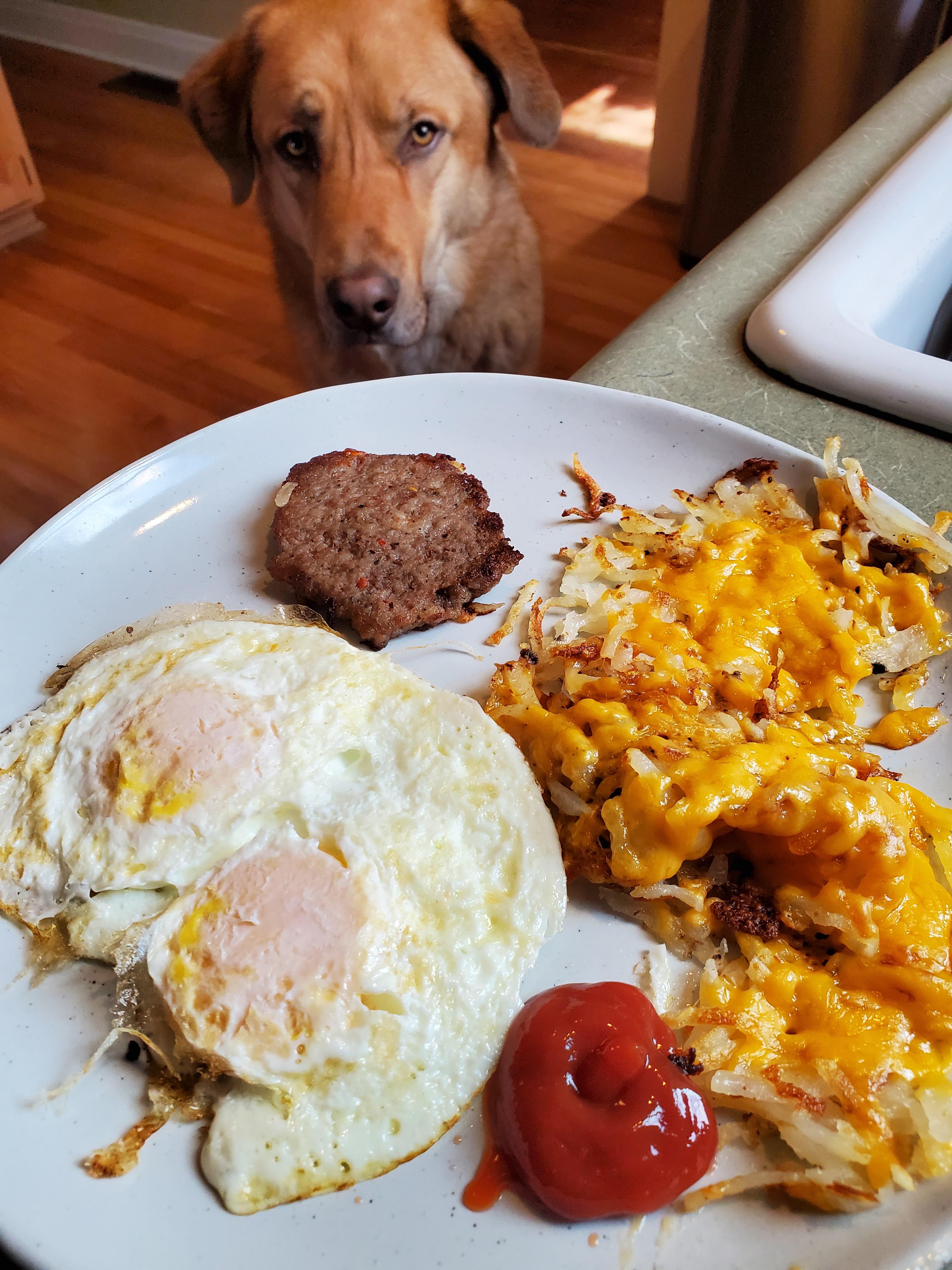 Comfort breakfast! | Scrolller