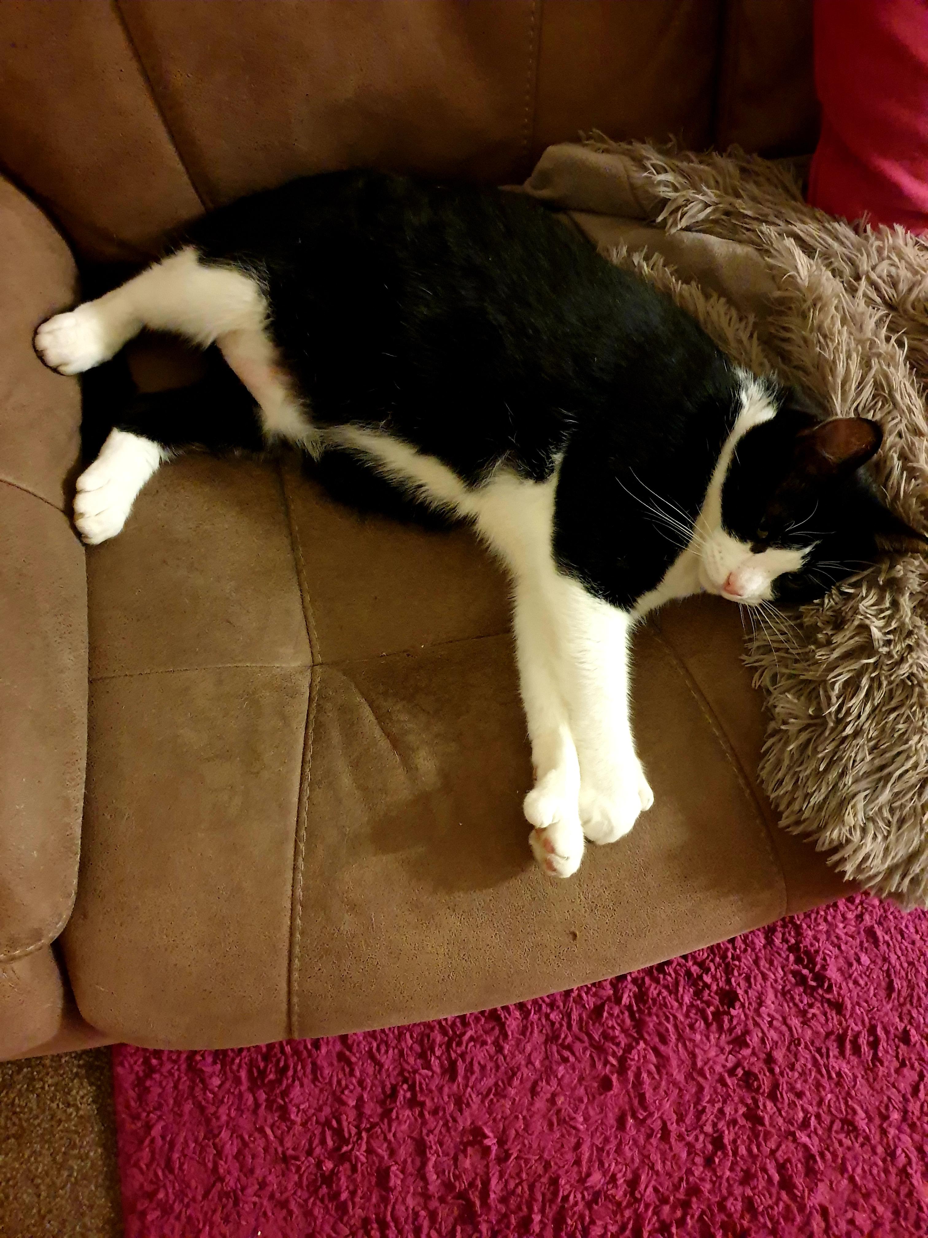 Comfy Ted 😴 | Scrolller