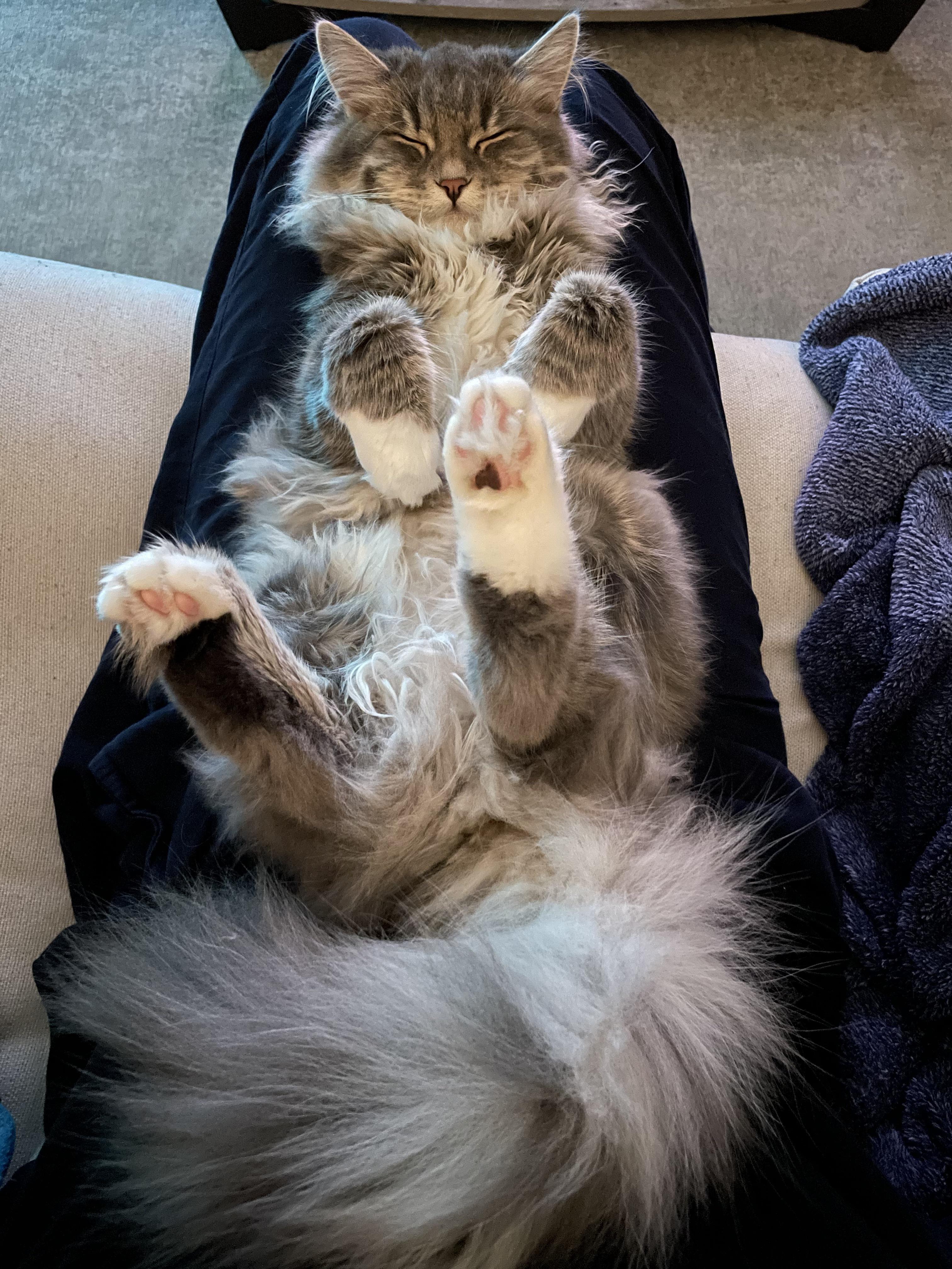 complete relaxation | Scrolller