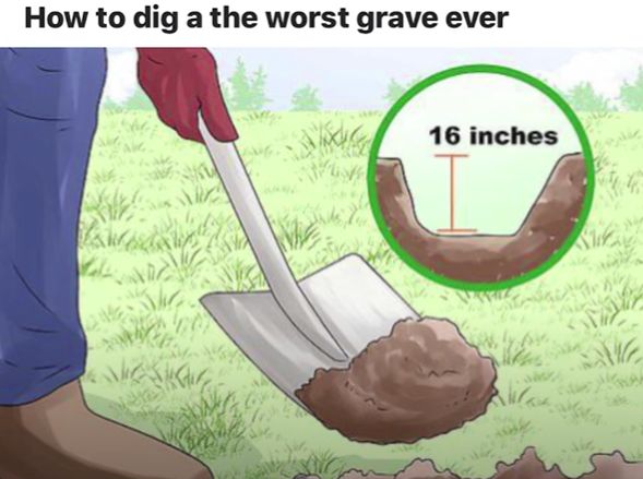 Composting :) | Scrolller