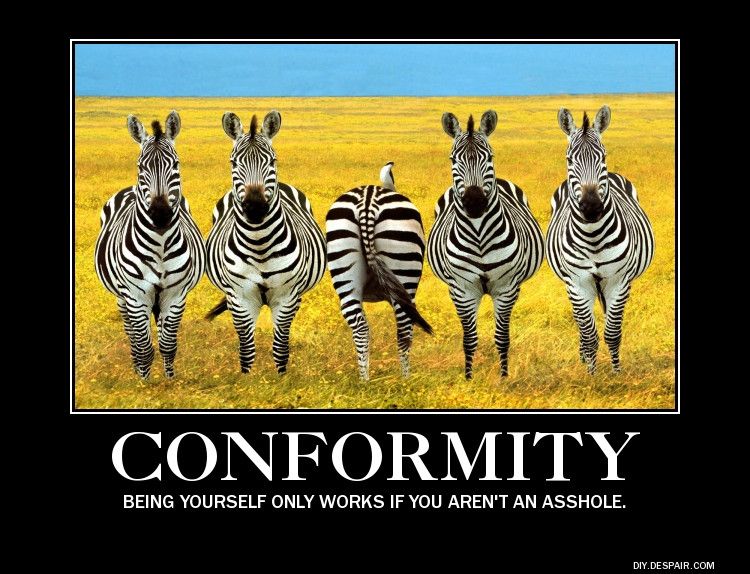 Conformity. | Scrolller