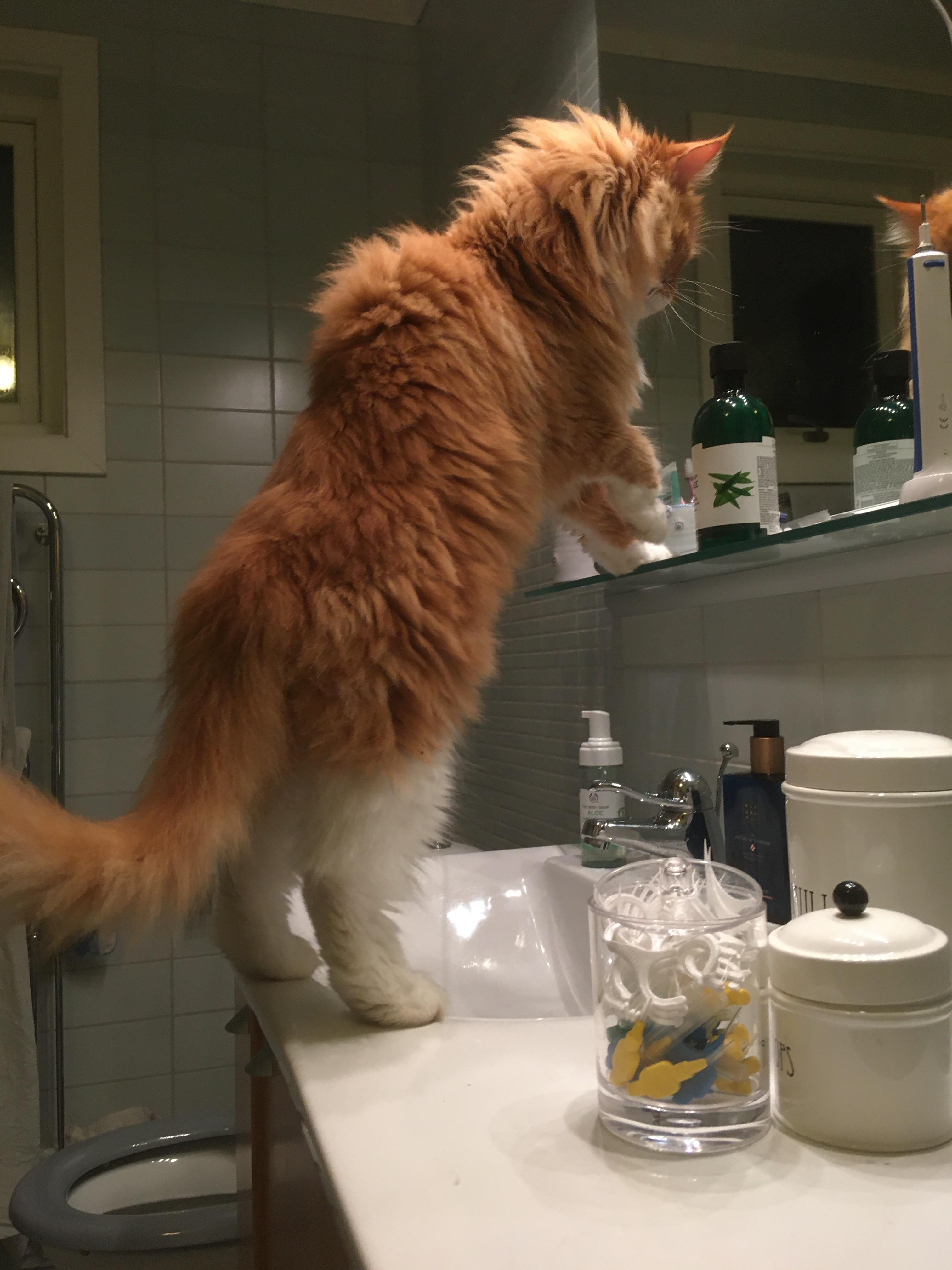 Contemplating her life choices | Scrolller