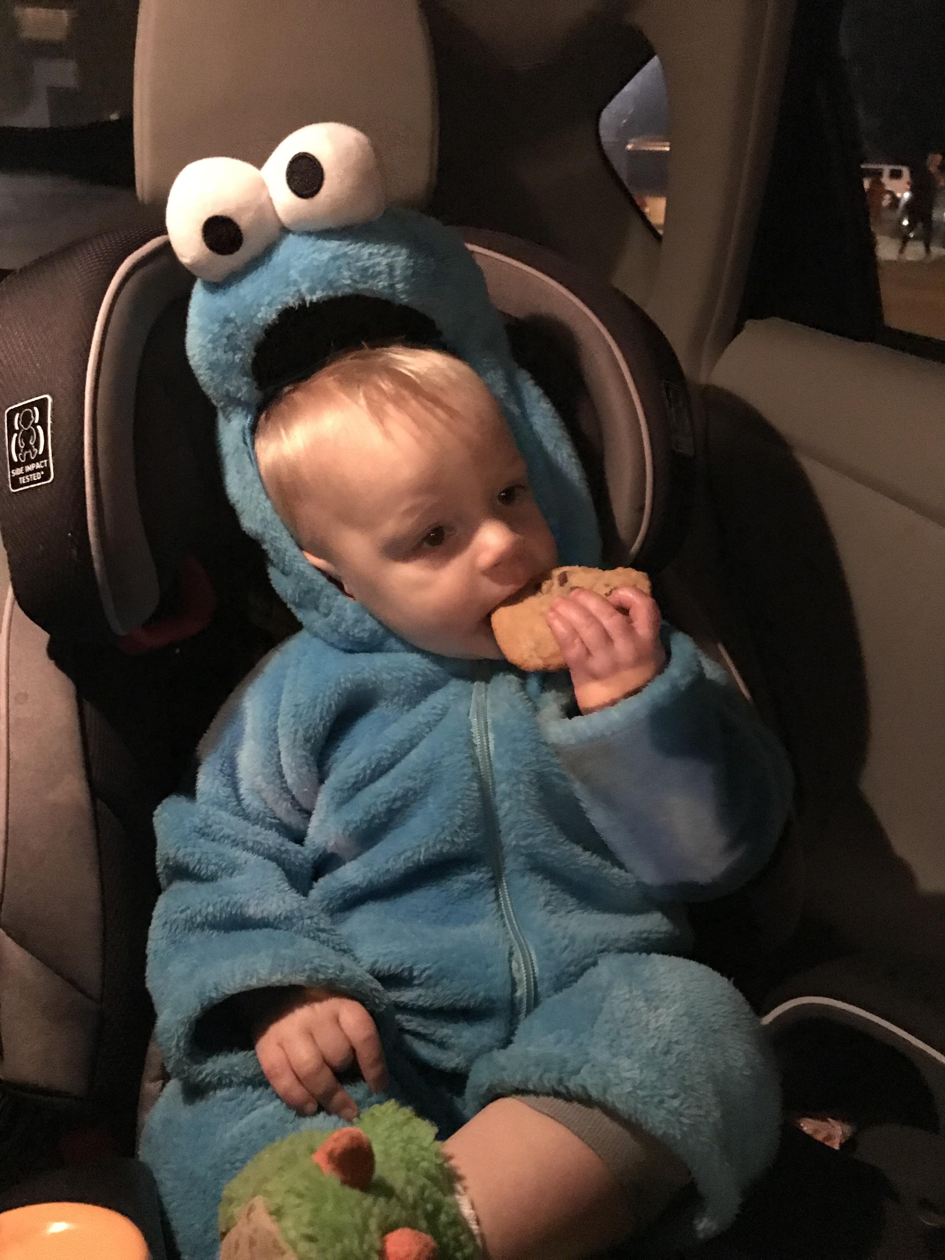 Cookie Monster | Scrolller