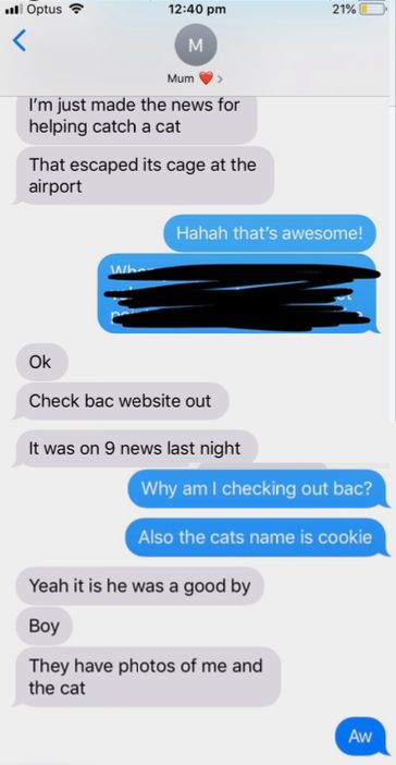 Cookie the cat UPDATE! | Scrolller