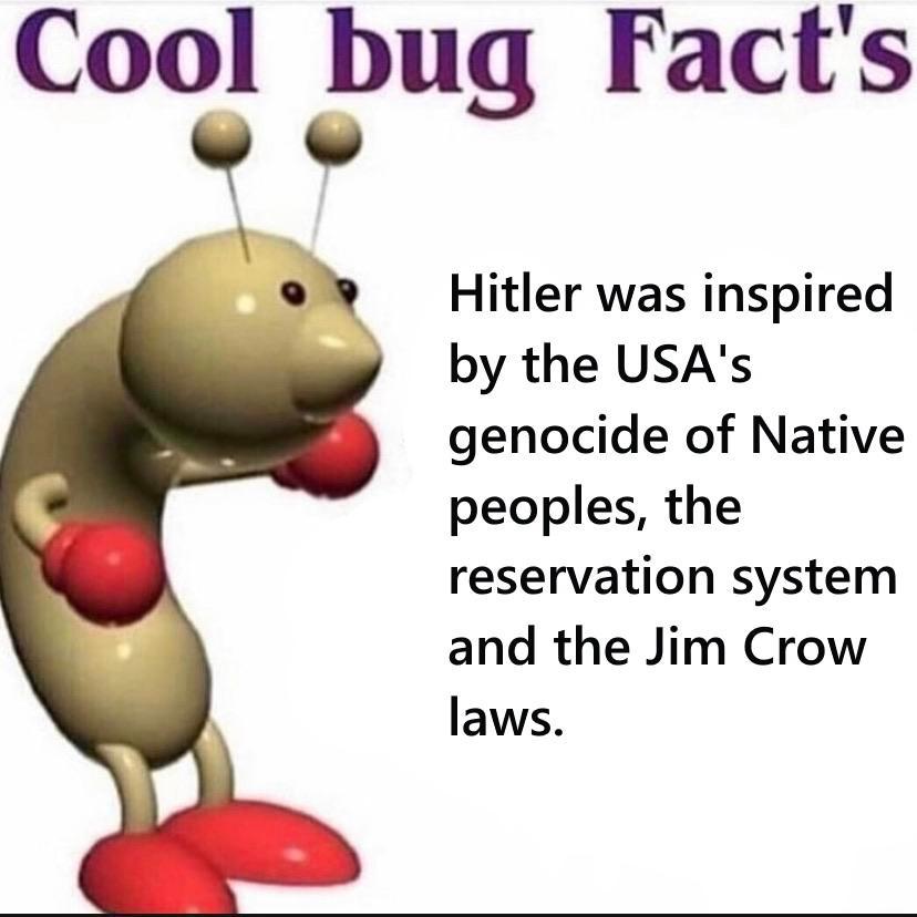 Cool bug fact! | Scrolller