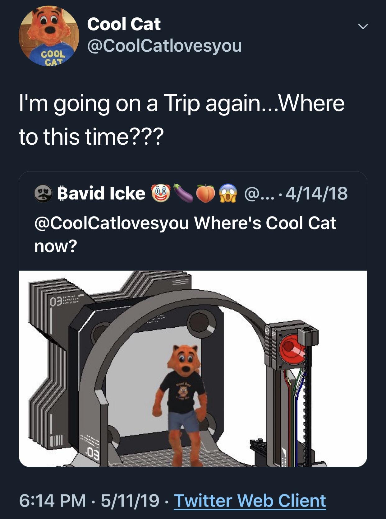 Cool Cat | Scrolller