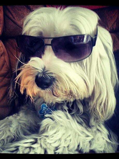 Cool dude! | Scrolller