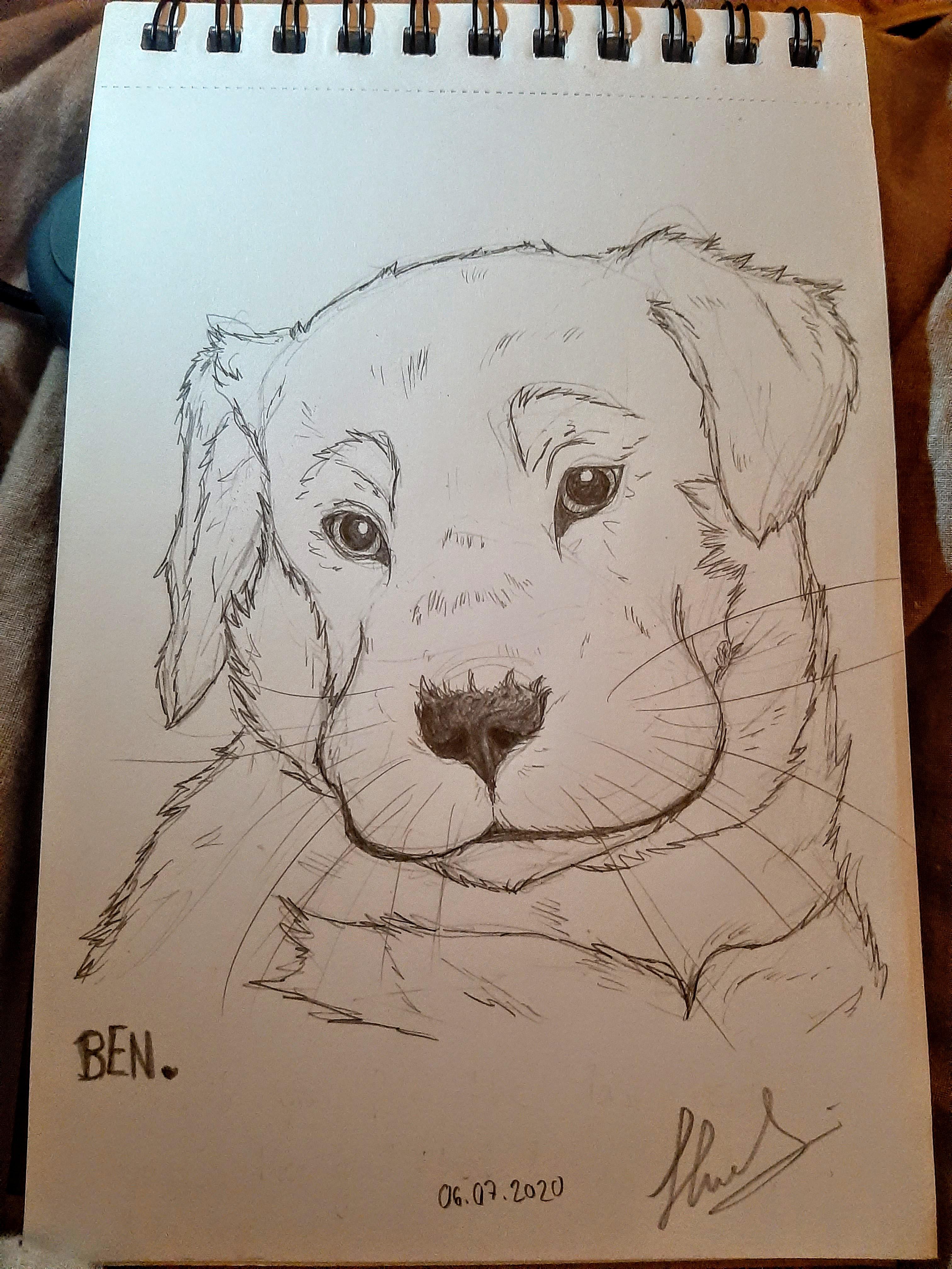 Coping through art | Scrolller