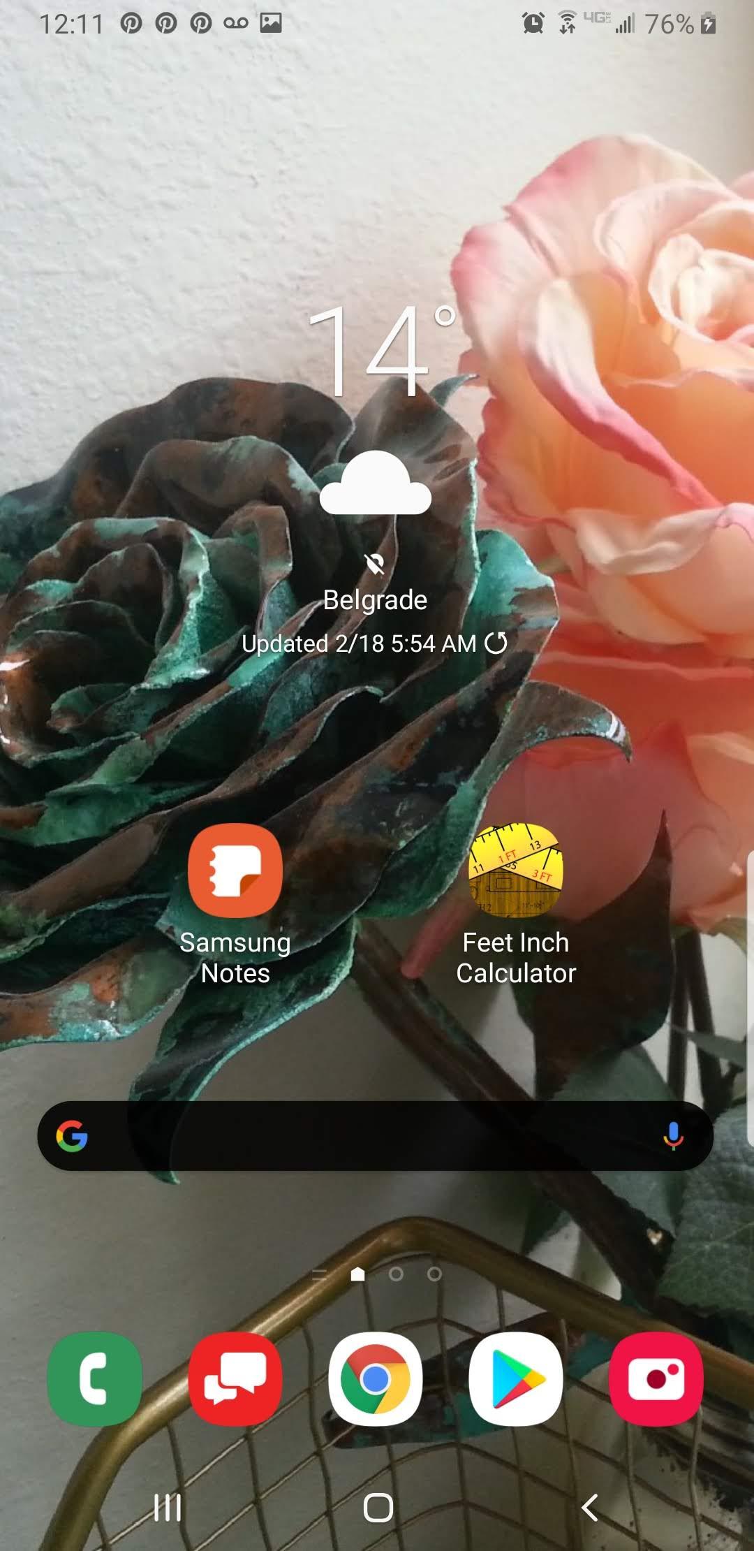 Copper rose | Scrolller