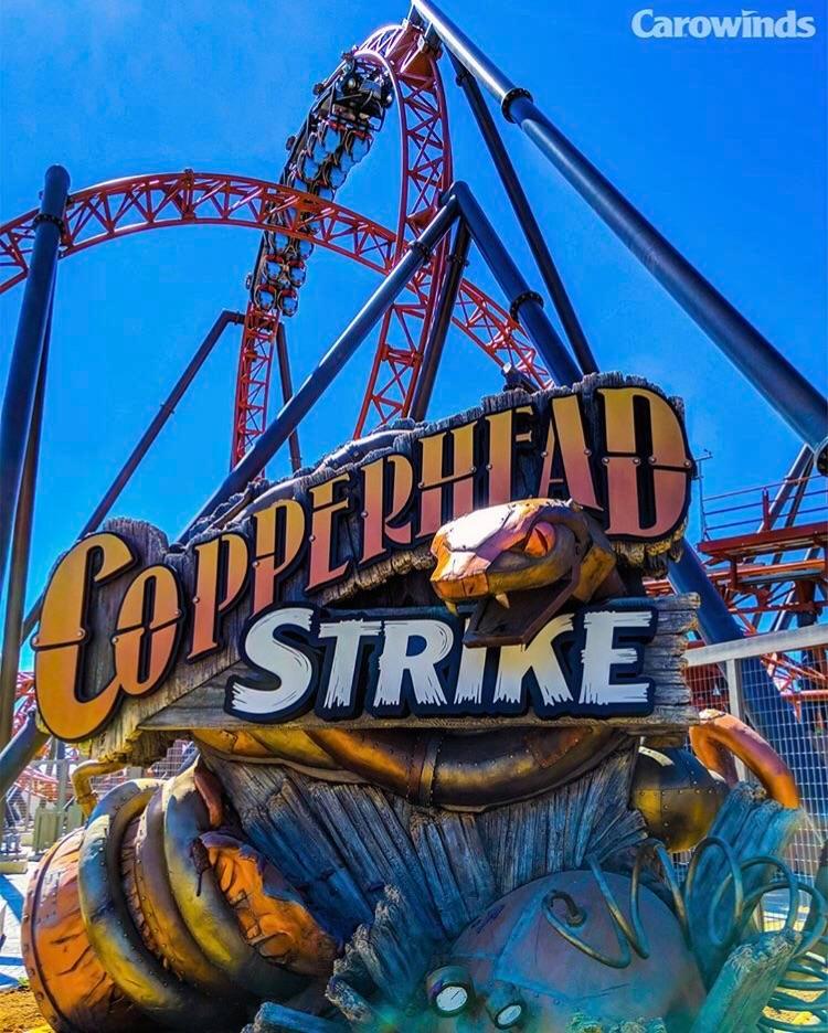 Copperhead Strike Sign | Scrolller