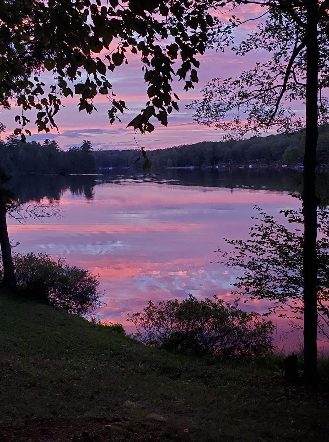 Cotton Candy Sunset Trout Lake, Rose City | Scrolller